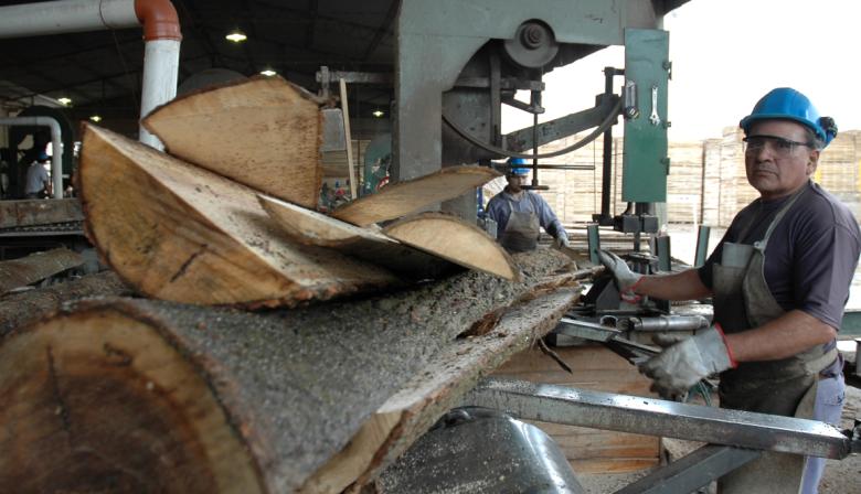 La industria de la madera argentina busca nuevos mercados y ...